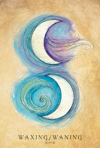 Anatomy Of A Witch Oracle – Dervish Online Shop