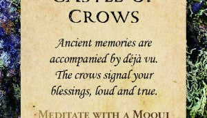 Druid Wisdom: Musings and Inspirations from Druidic Landscapes ...