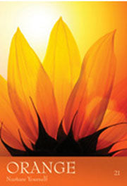 Secret Language of Color Cards – Dervish Online Shop